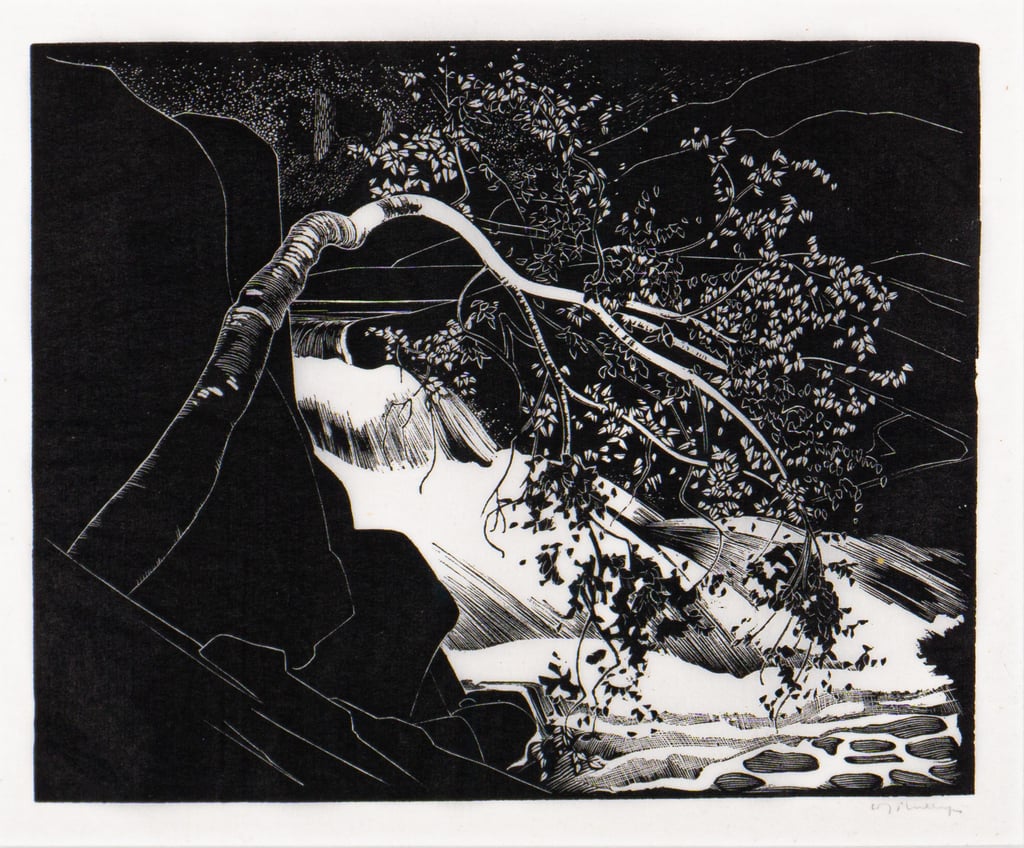 Rushing River, Lake of the Woods by Walter Joseph Phillips | Mayberry ...